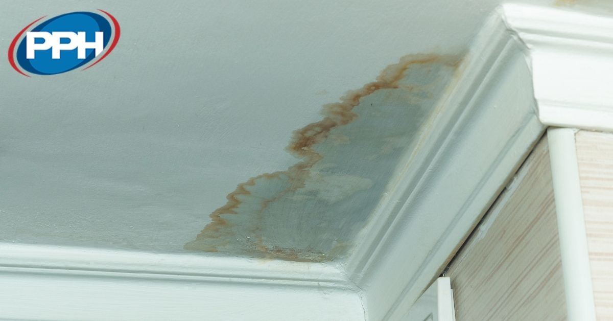 What are Hidden Leaks and How to Find Them?| Patterson Plumbing